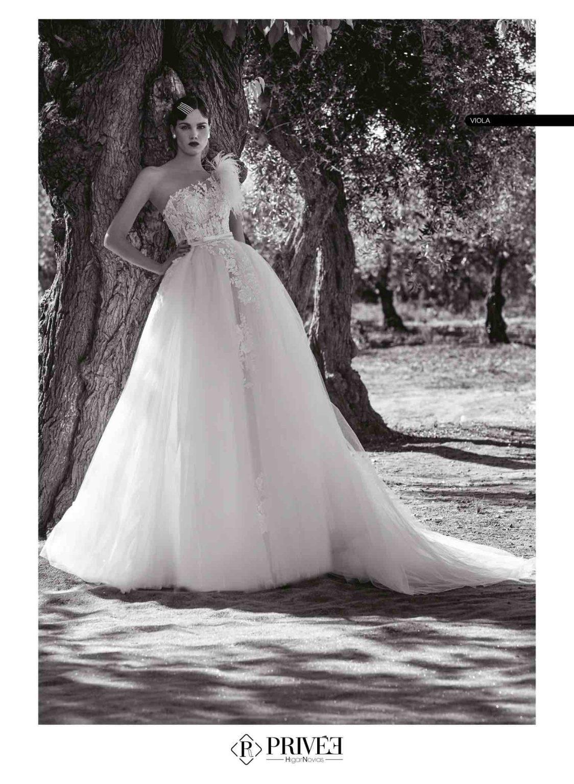 Collezioni sposa Higar Novias Group 2024, tre linee femminili